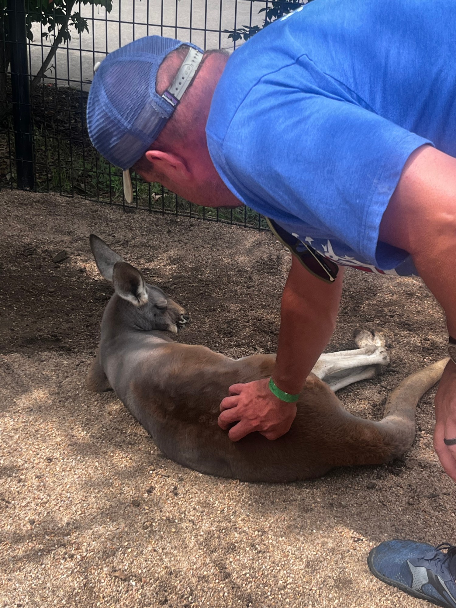 On Safari: Tales of Sheriff Soggy Socks, the One-Socked Lady, and a ...